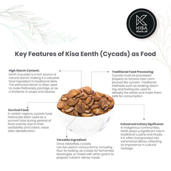 EENTH - CYCAS CIRCINALIS – Kisa Flour Mills